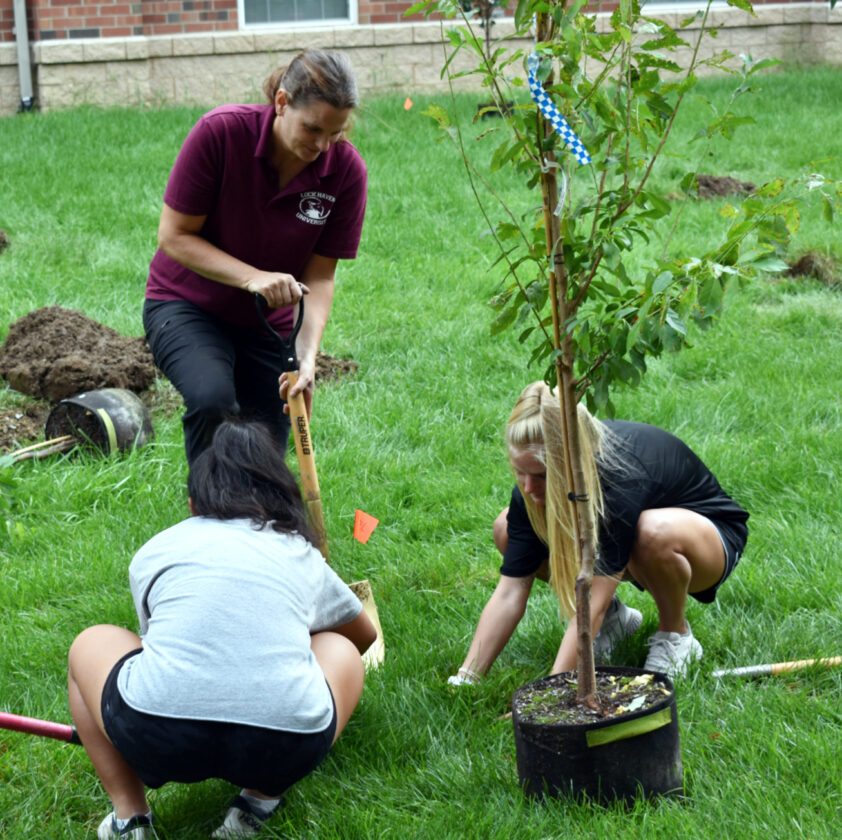 Students, volunteers, professors from university plant orchard at ...